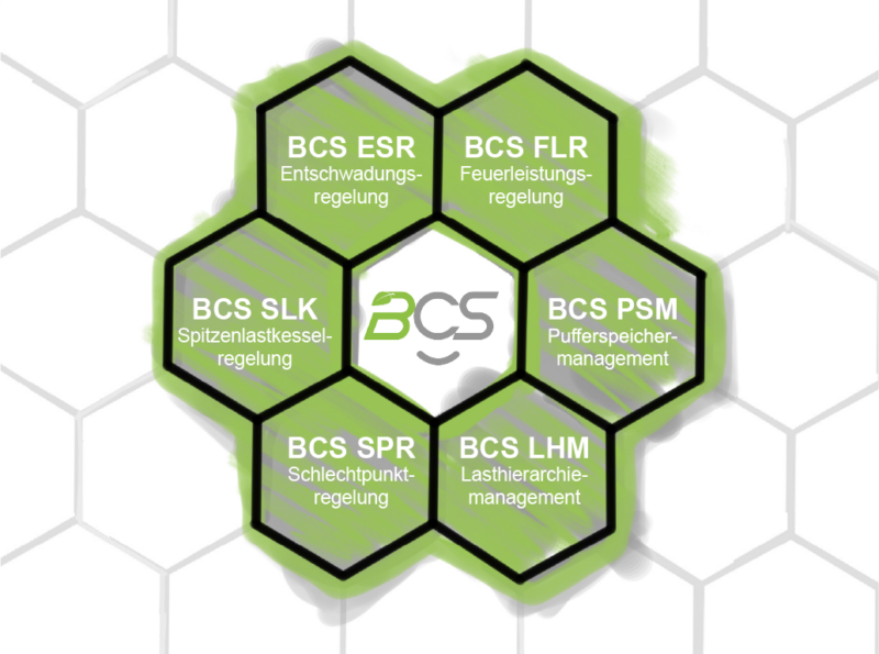 BCS® Suite for efficient biomass heating (power) plants - CONENGA Group